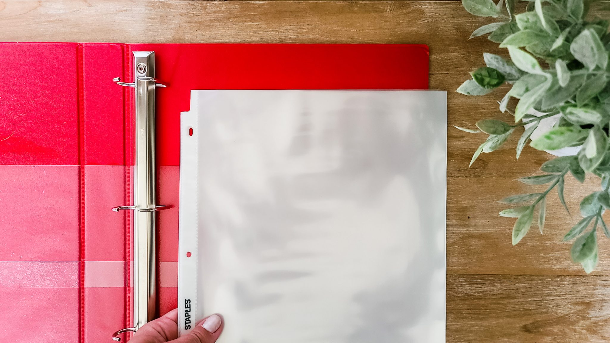 DIY Emergency Binder; Be Prepared for the unexpected - Tidy Mo